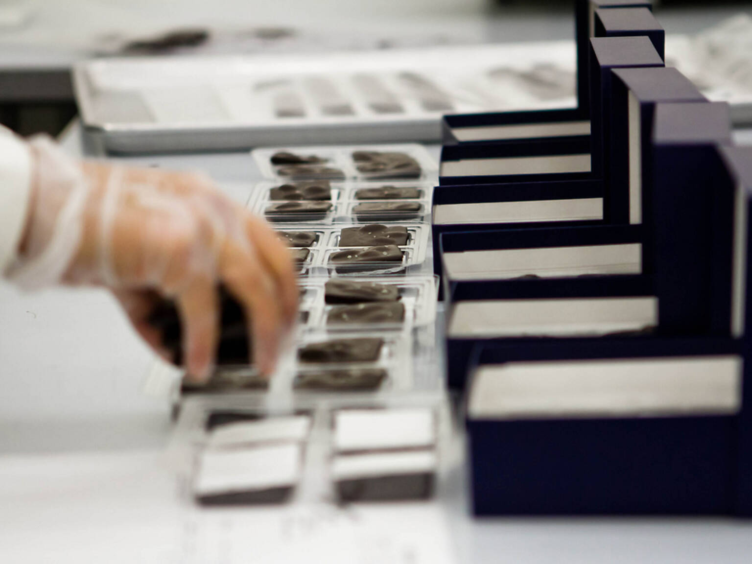 12 Best Chocolate Stores in San Francisco for a Special Occasion