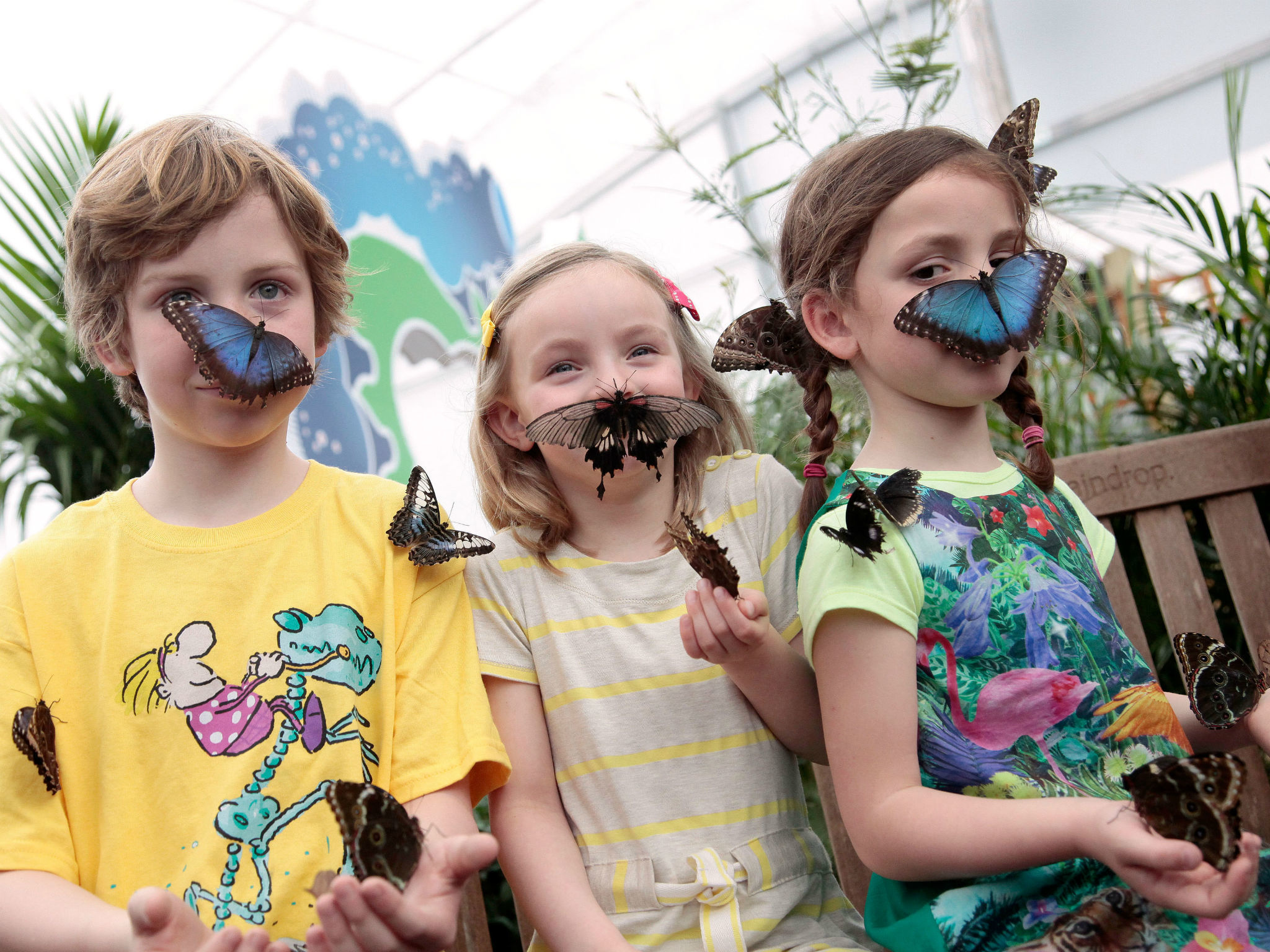 May Half Term In London 2018 Kids Activities And Events May Half Term In London 2018 Kids Activities And Events