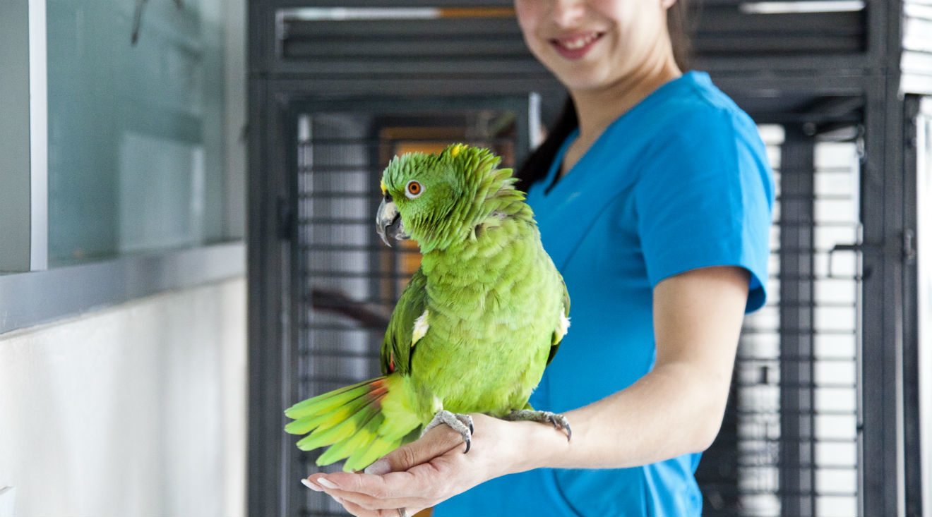 Exotic Pet Medical