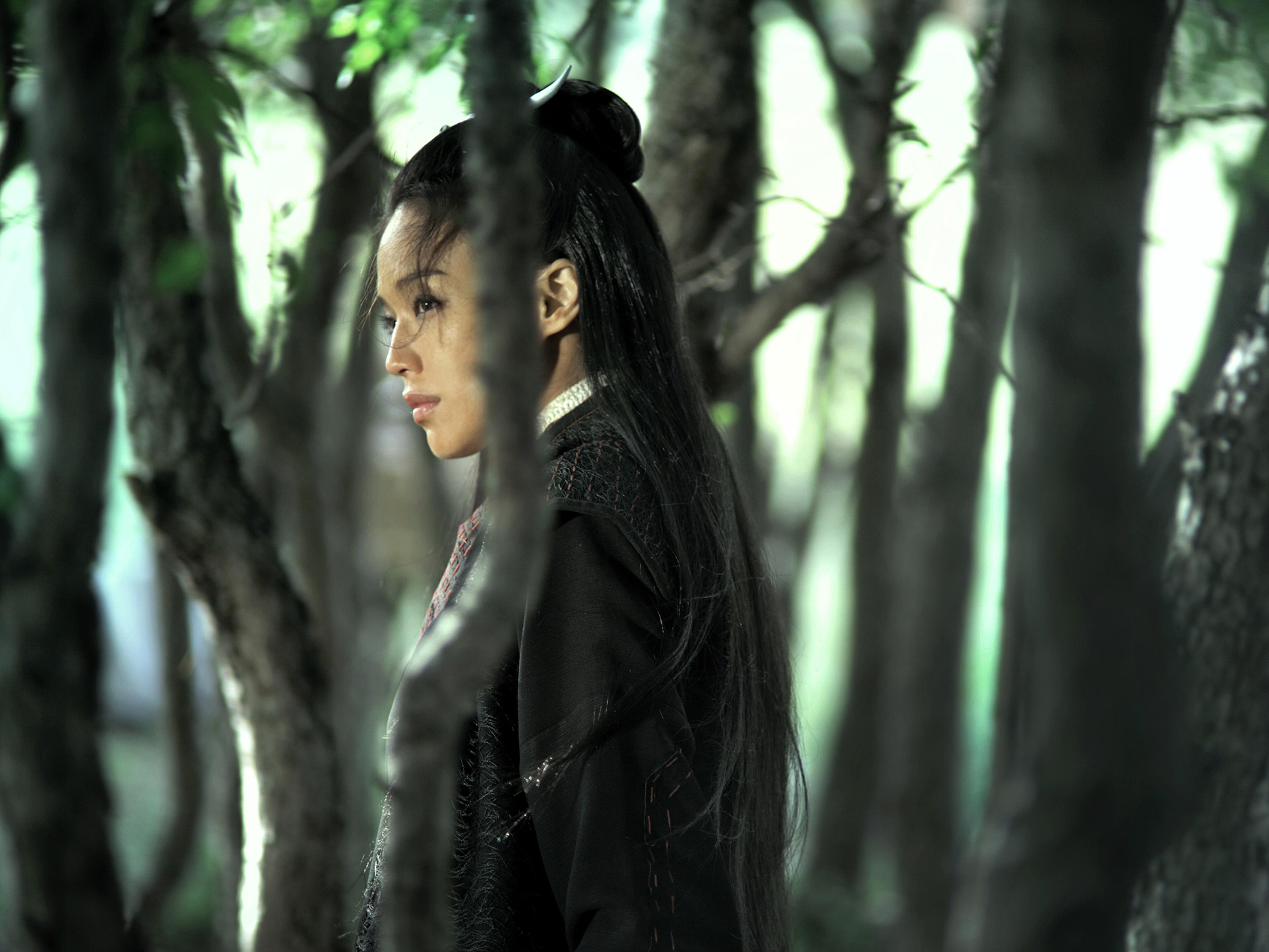 The Assassin 2016, directed by Hou Hsiao-Hsien | Film review