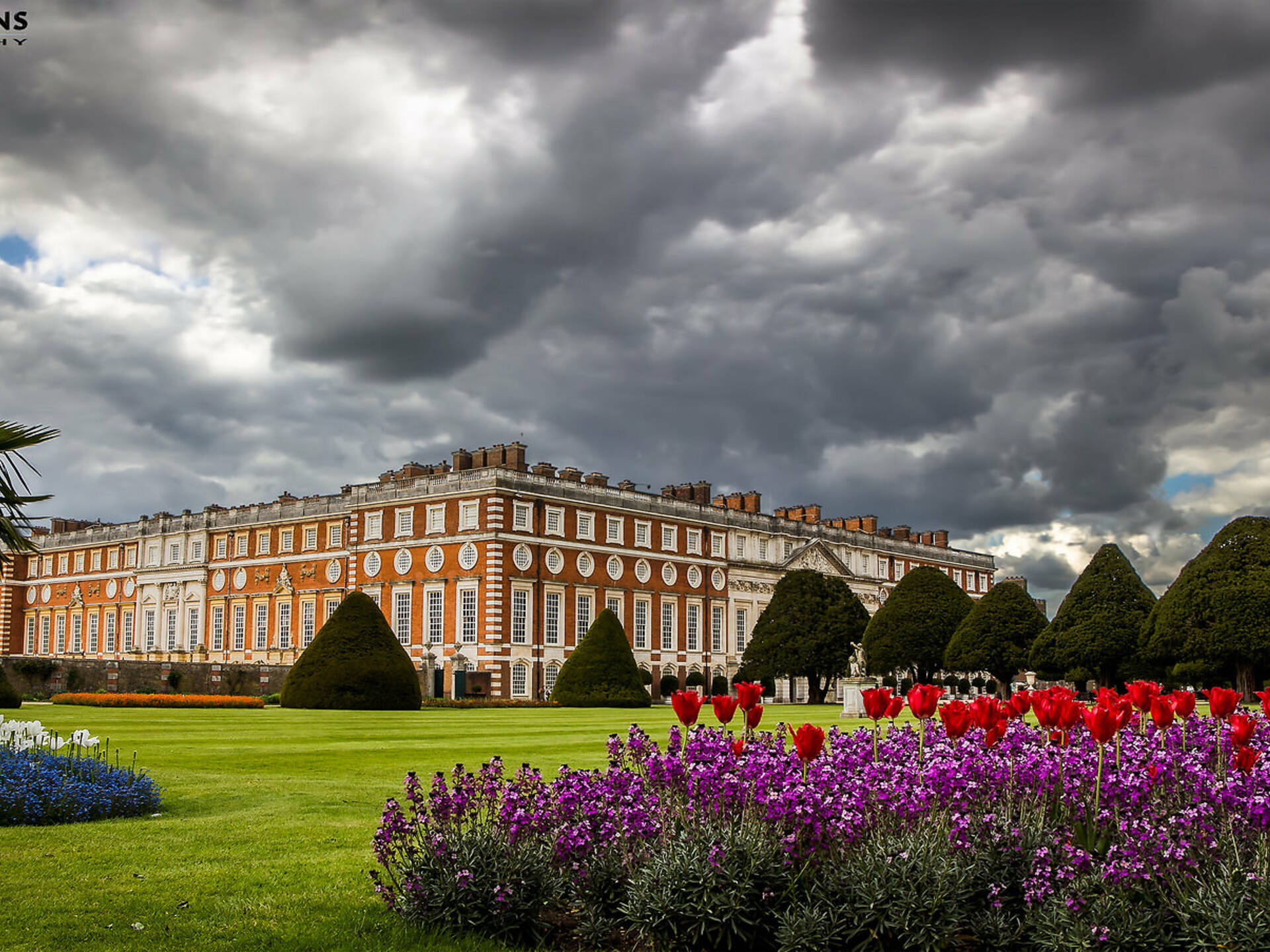 21 photos of flowers blooming all over London