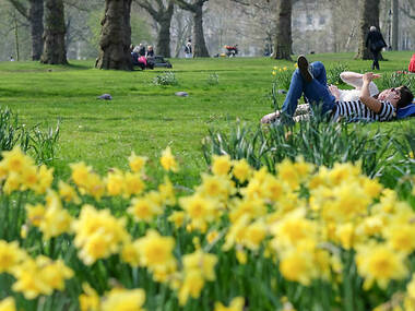 21 photos of flowers blooming all over London