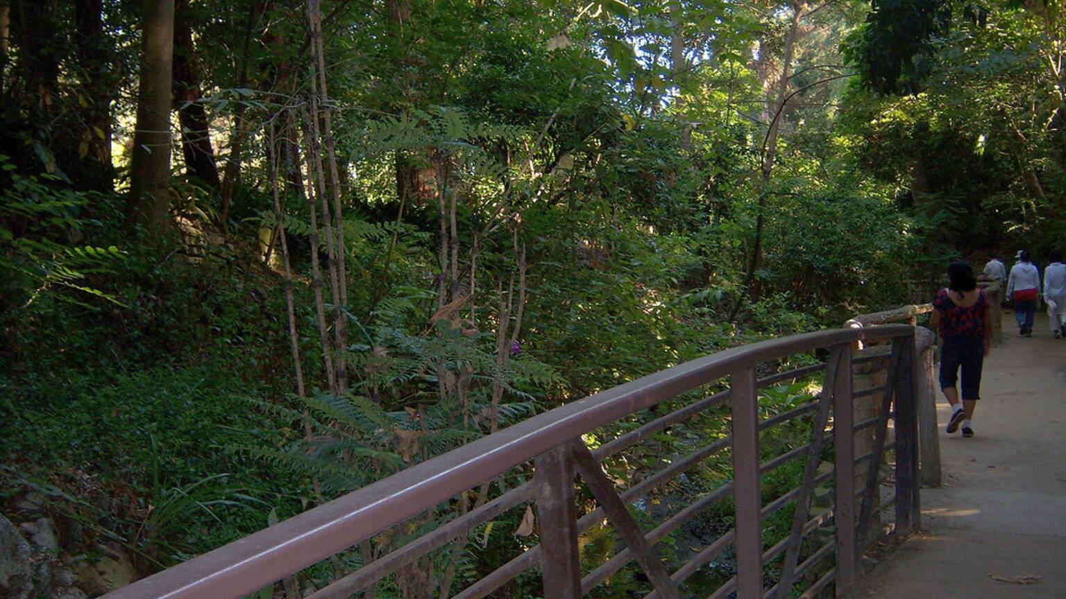 Things to Do in Griffith Park, L.A.'s premier park