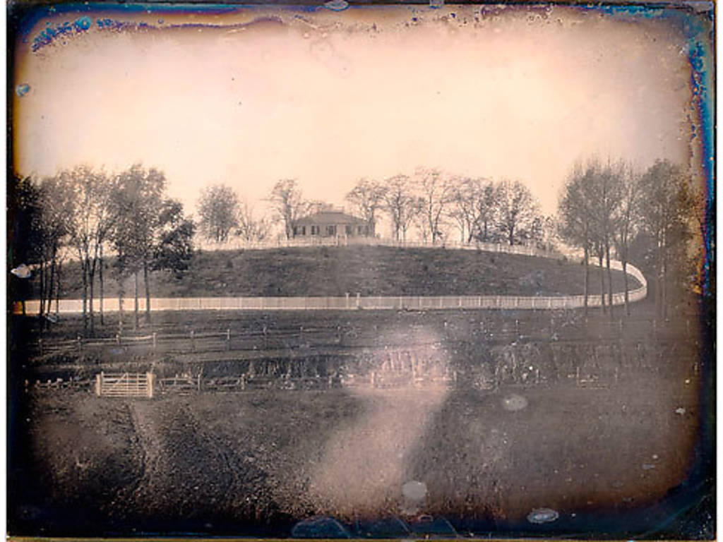 Top 50 New York photographs