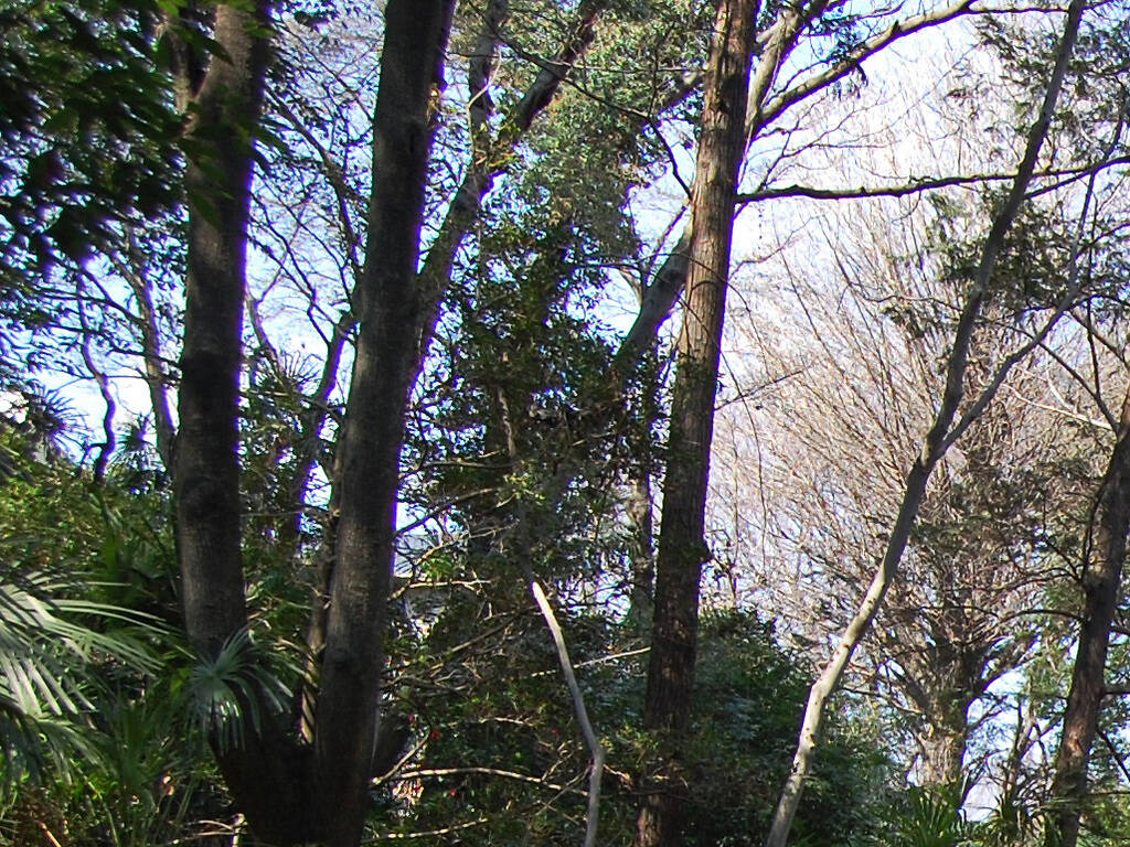 8 best nature escapes in and around Tokyo