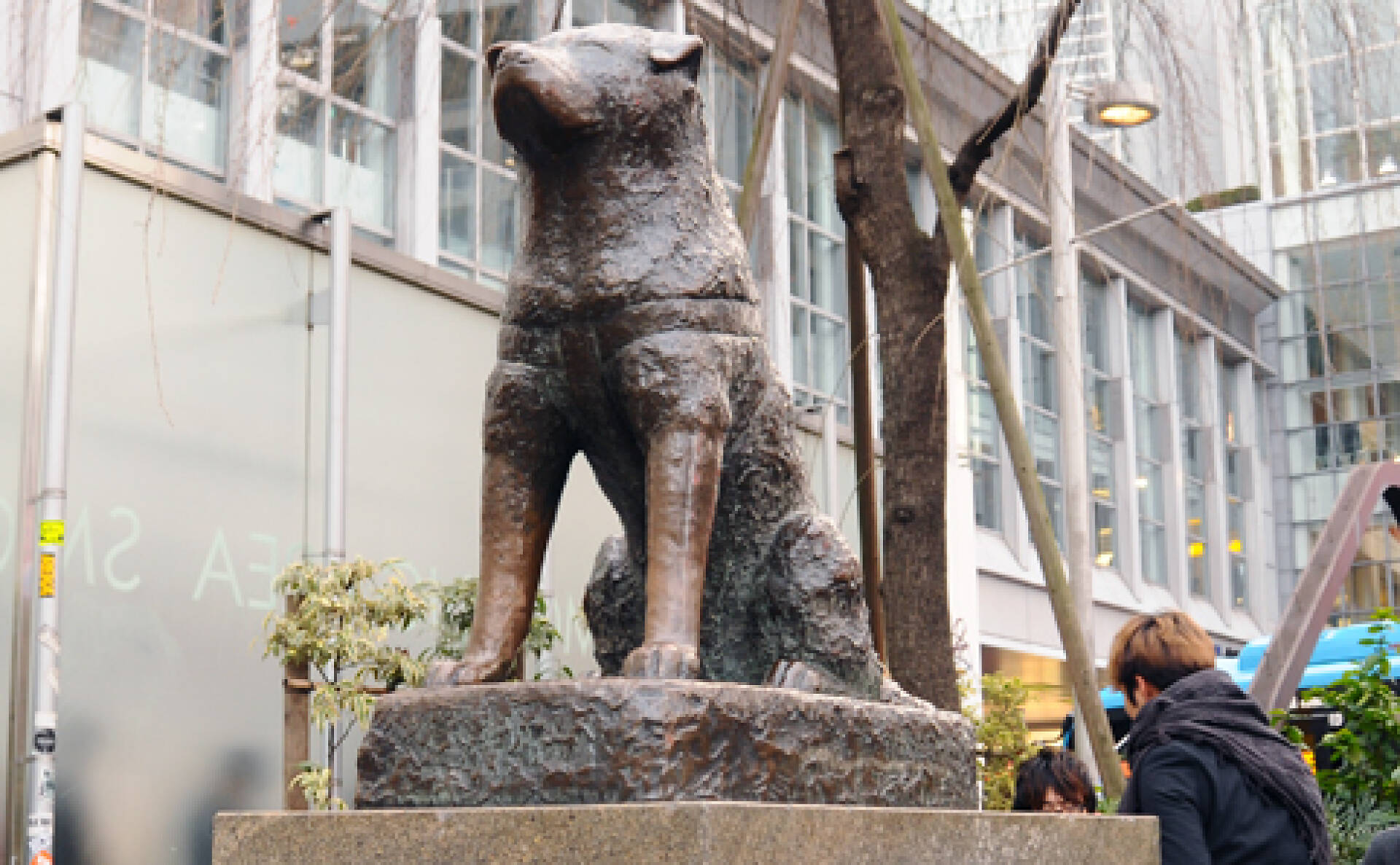 Hachiko Square | Attractions in Shibuya, Tokyo