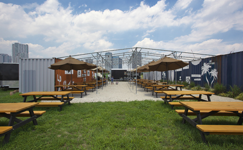 Wild Magic | Things to do in Toyosu, Tokyo