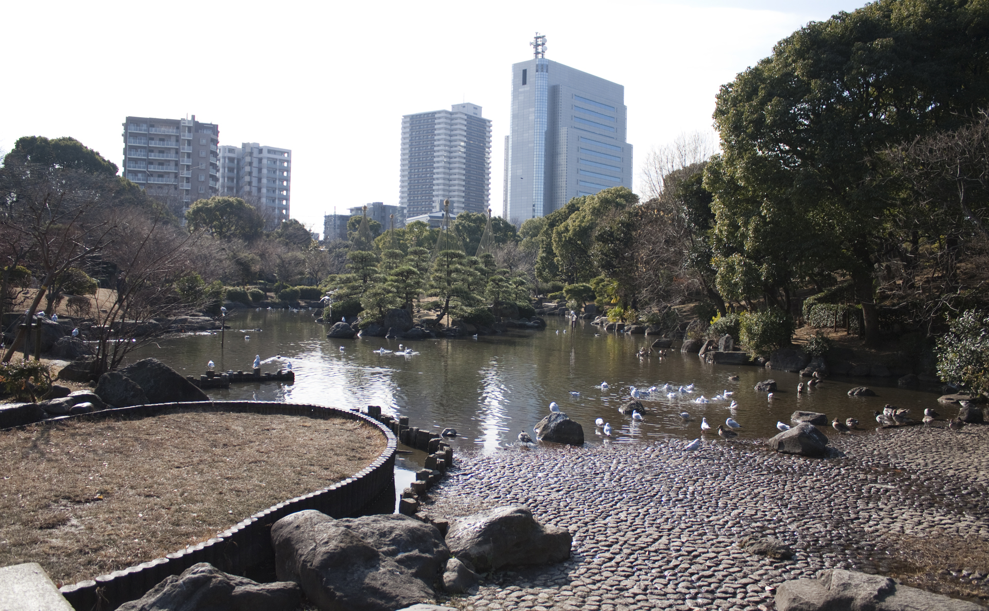 The best Tokyo parks | Time Out Tokyo