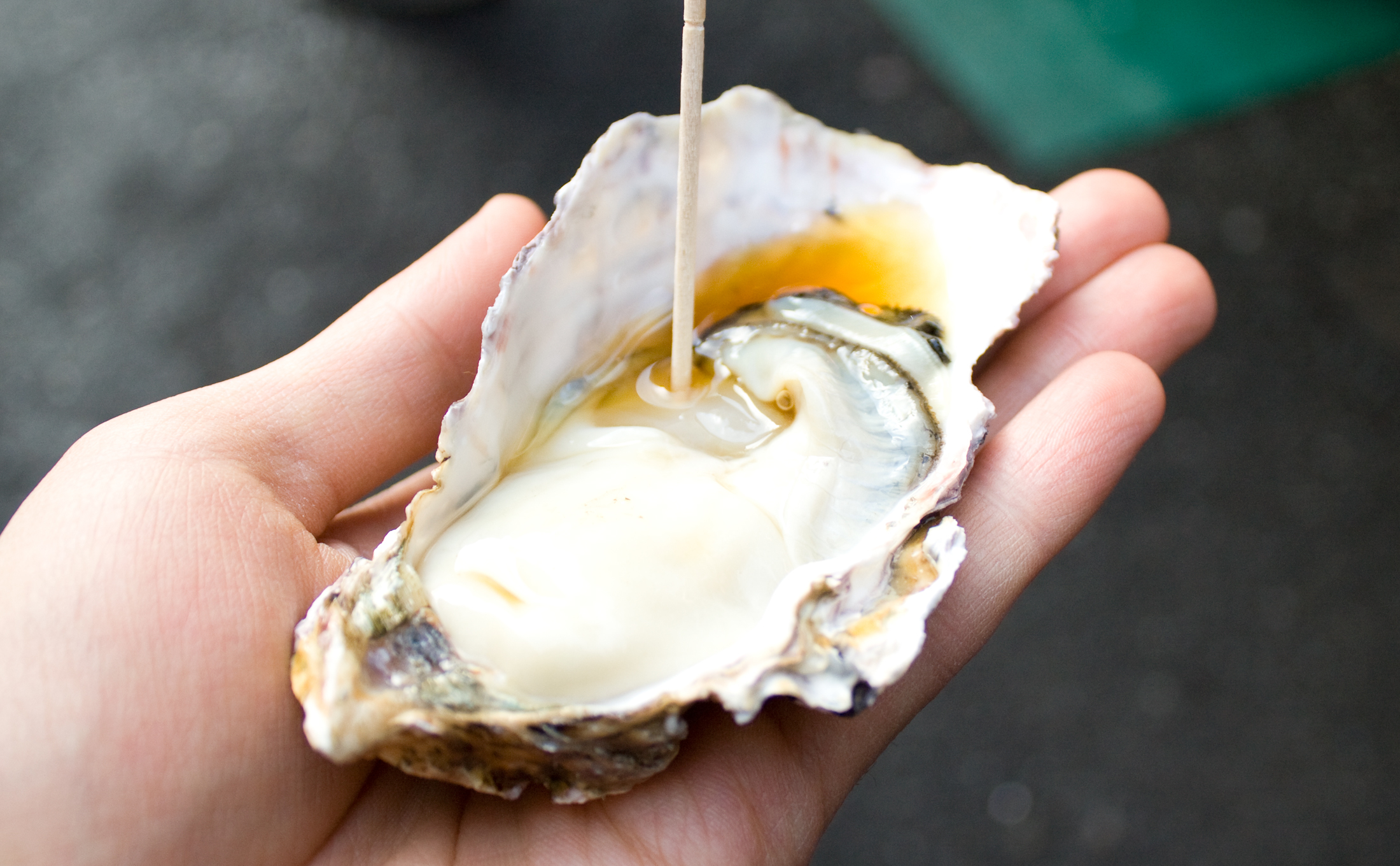 Saito Fisheries Tsukiji | Shopping in Tsukiji, Tokyo