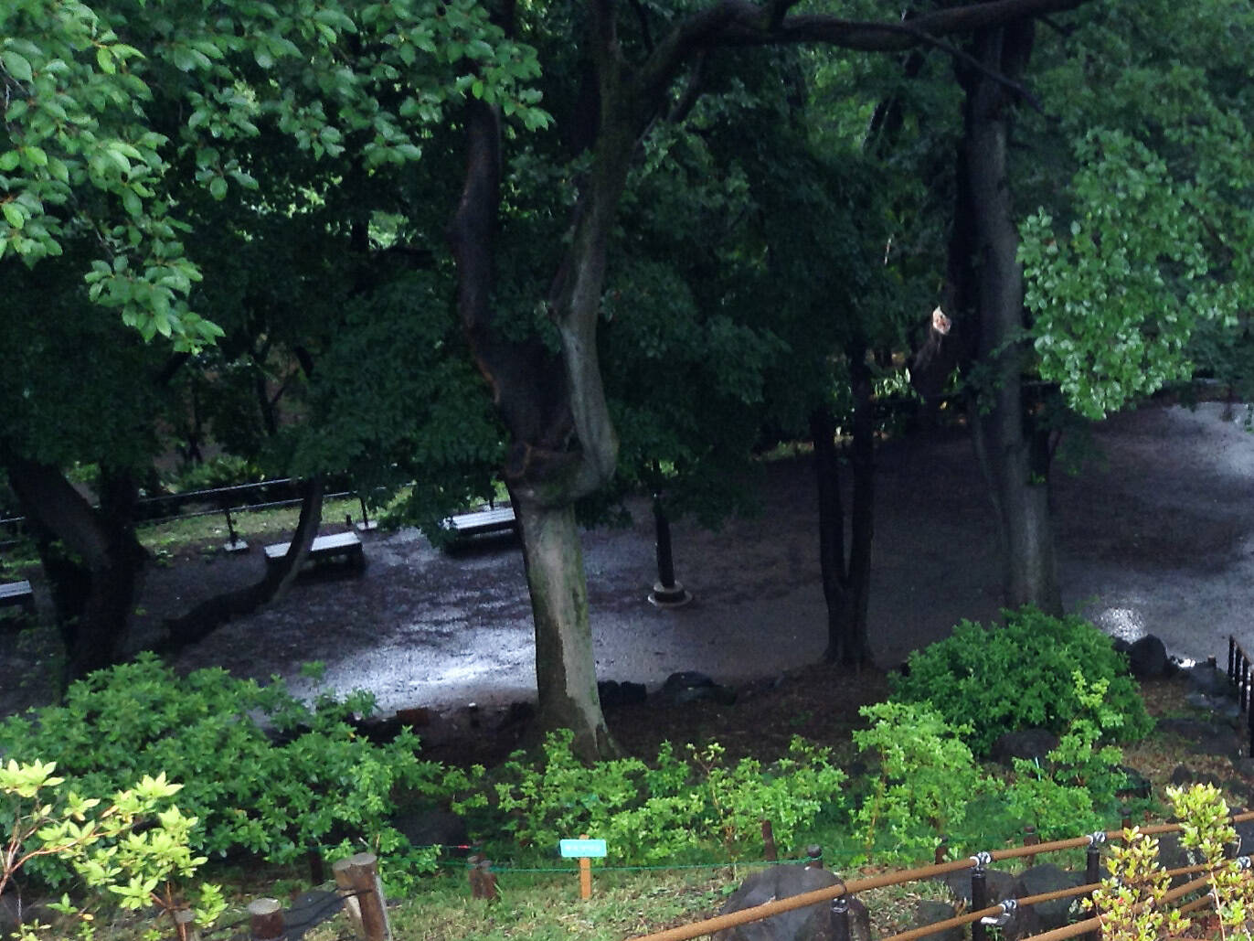 101 things to do in Tokyo along the Seibu lines | Time Out Tokyo