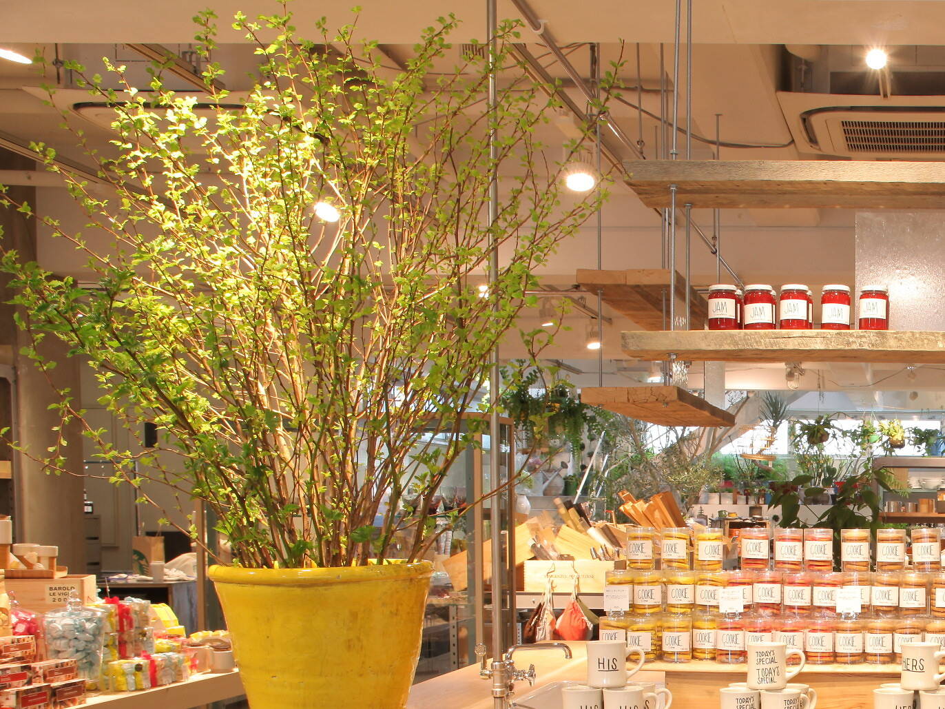 Best home and lifestyle stores in Tokyo | Time Out Tokyo