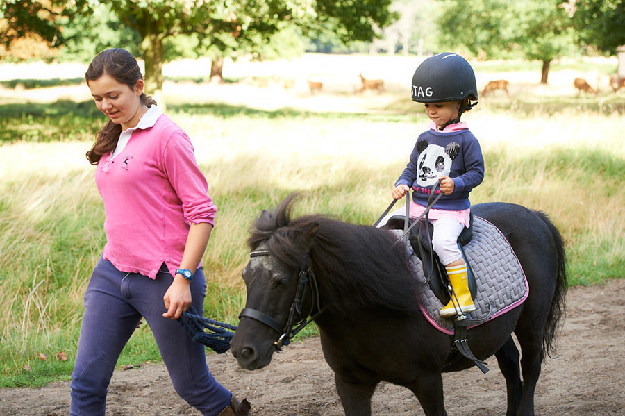 Stag Lodge Stables | Things to do in Richmond Park, London