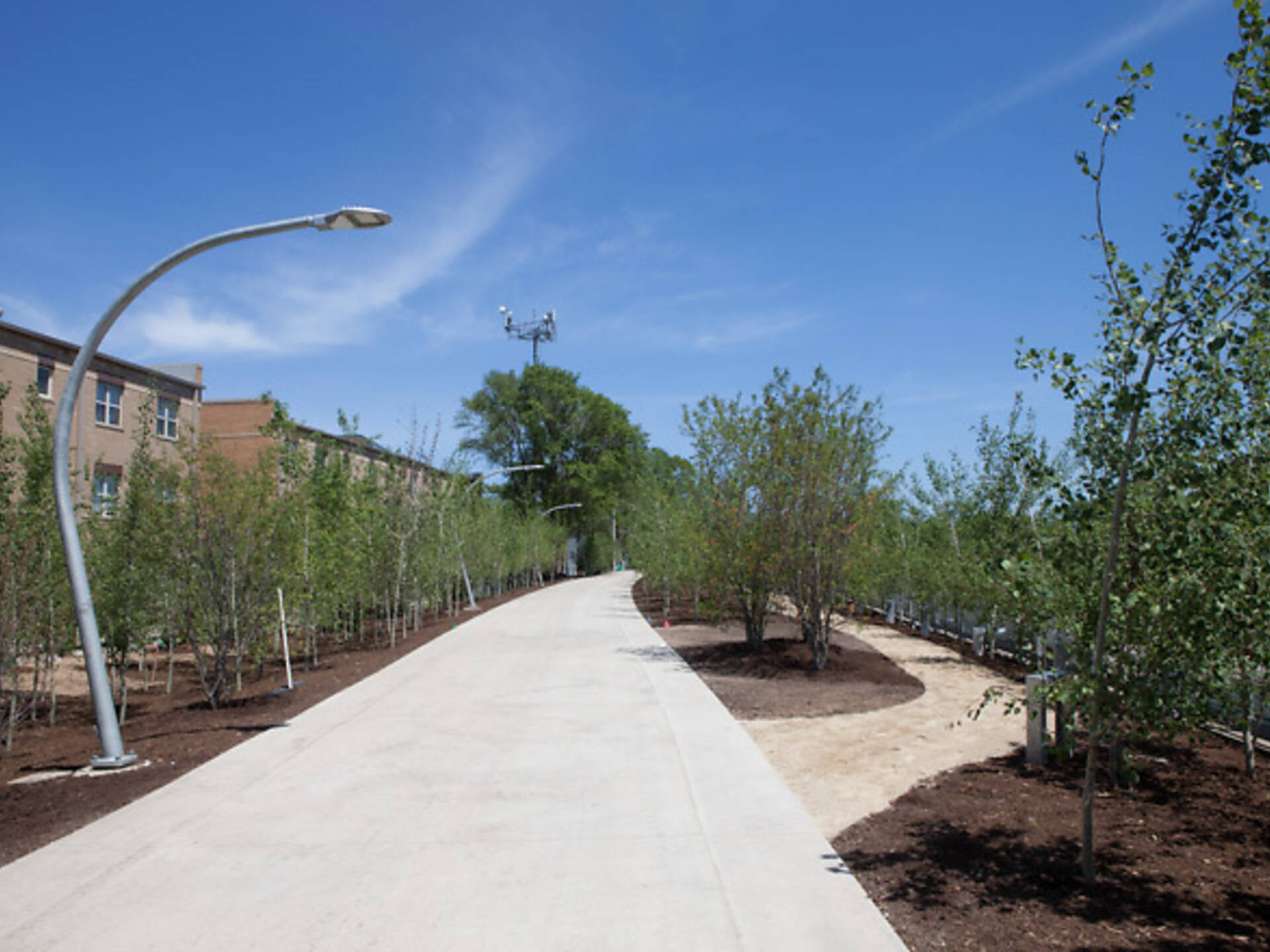 24 Best Things To Do Outside in Chicago: Top Outdoor Activities This Summer