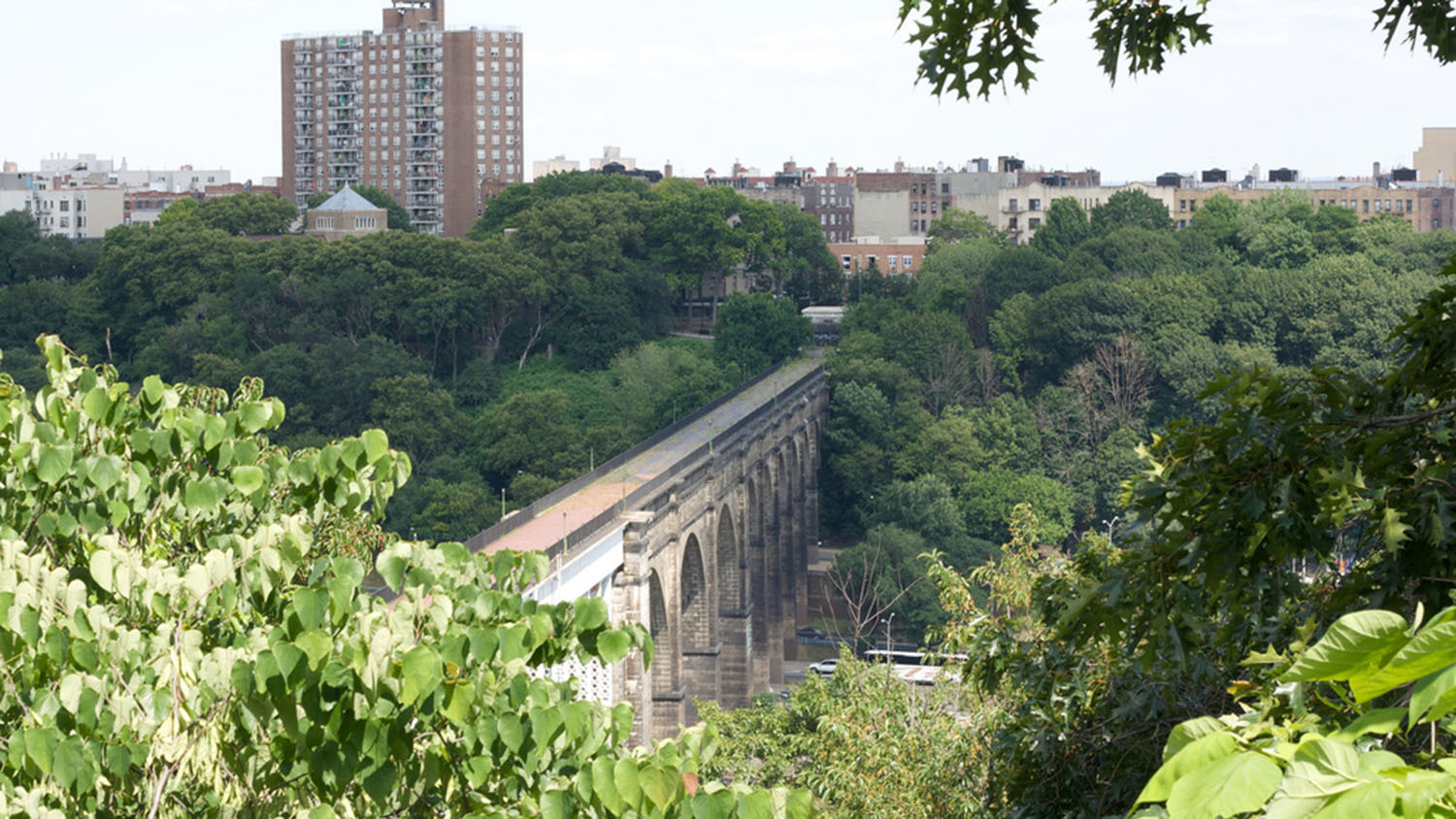 Stunning photos of the High Bridge after a 45-year closure