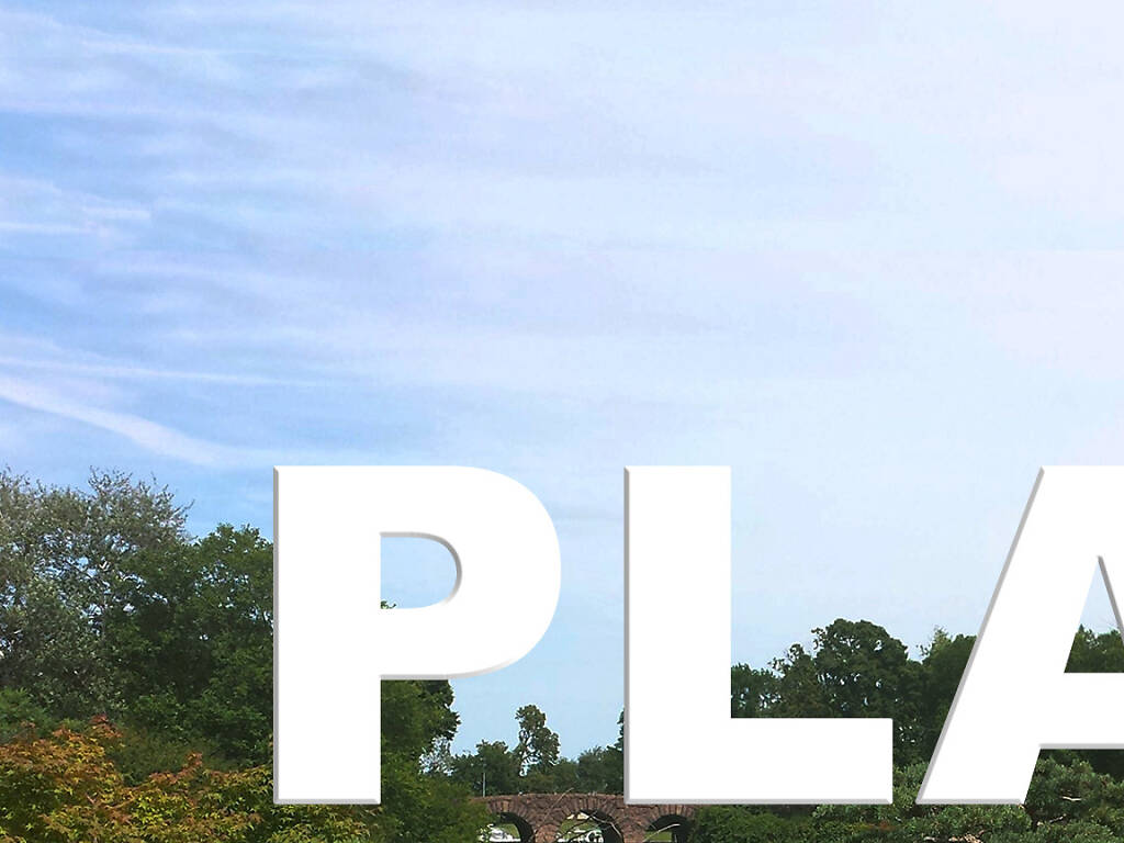 A complete guide to the Hyde Park neighborhood