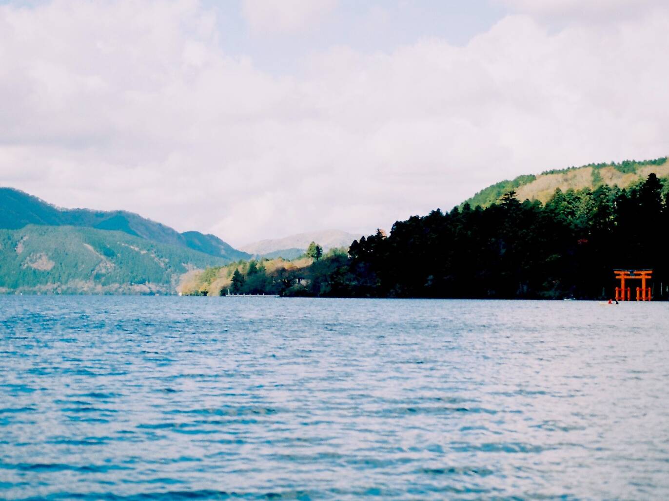 Go on a torii gate tour
