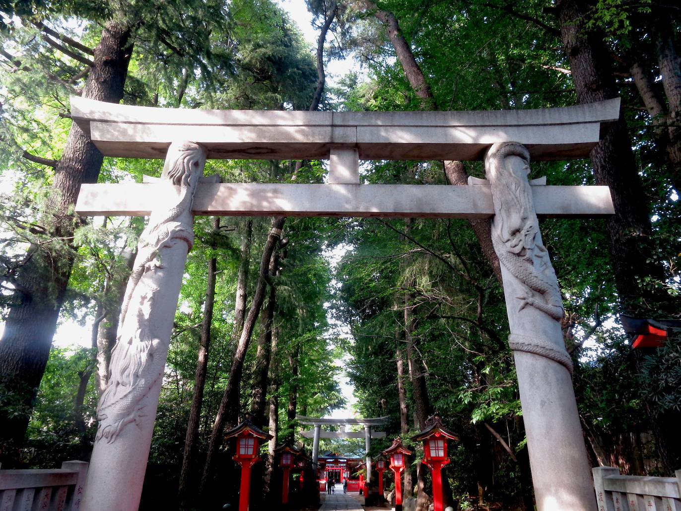 Go on a torii gate tour