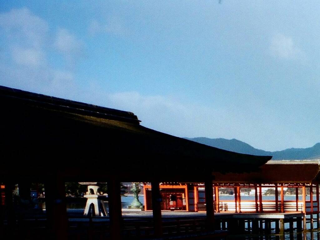 Go on a torii gate tour