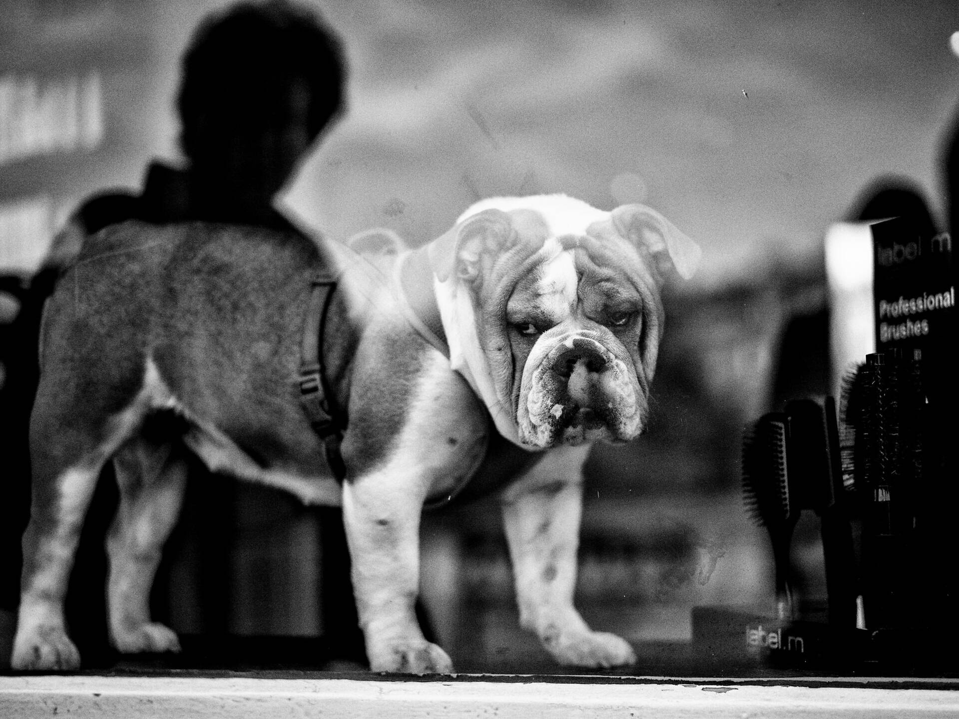 London photography: candid street portraits from Alan Schaller