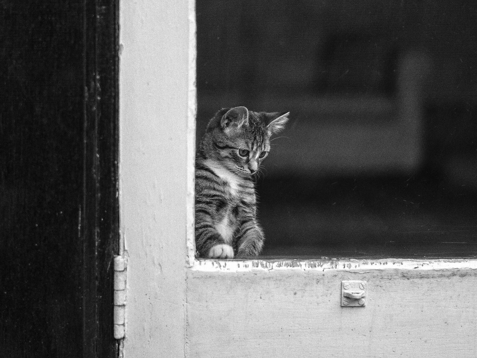 London photography: candid street portraits from Alan Schaller