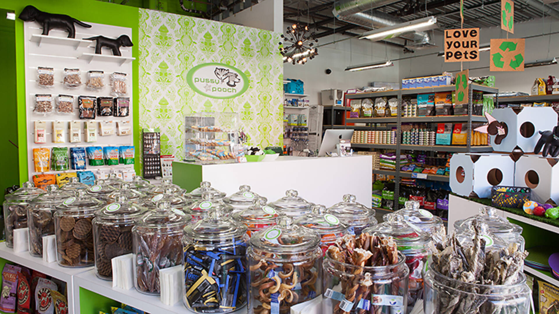 LA's best pet store options