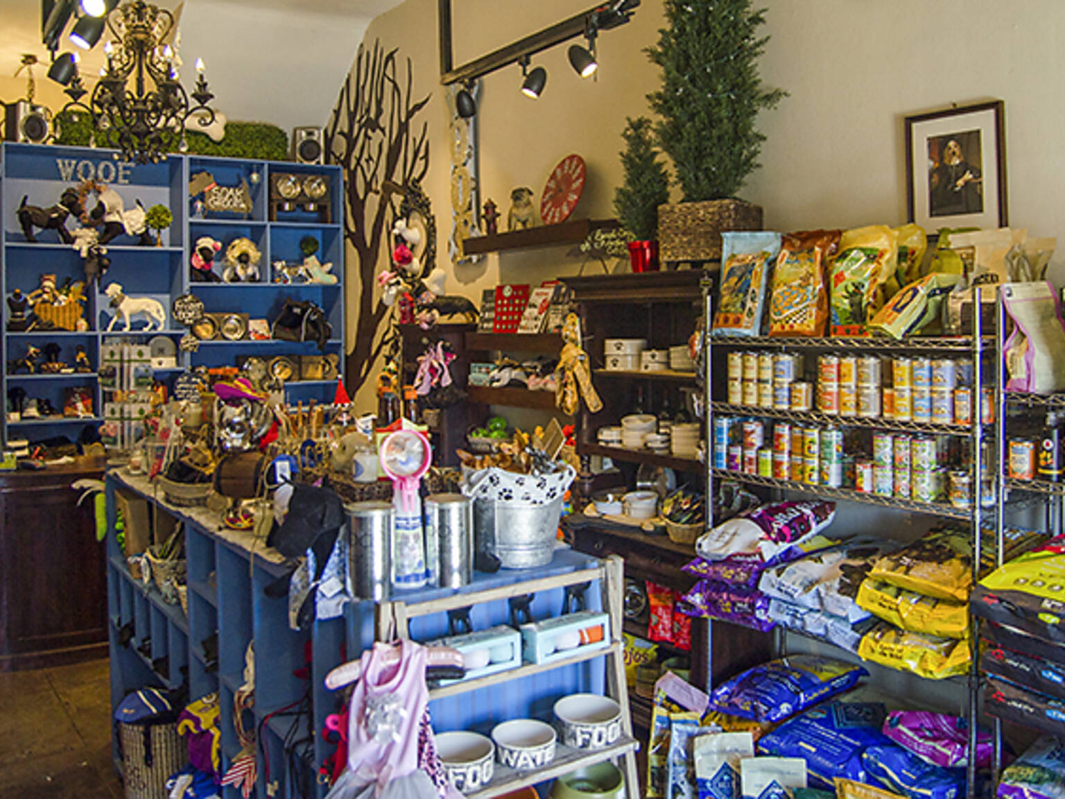 LA's best pet store options