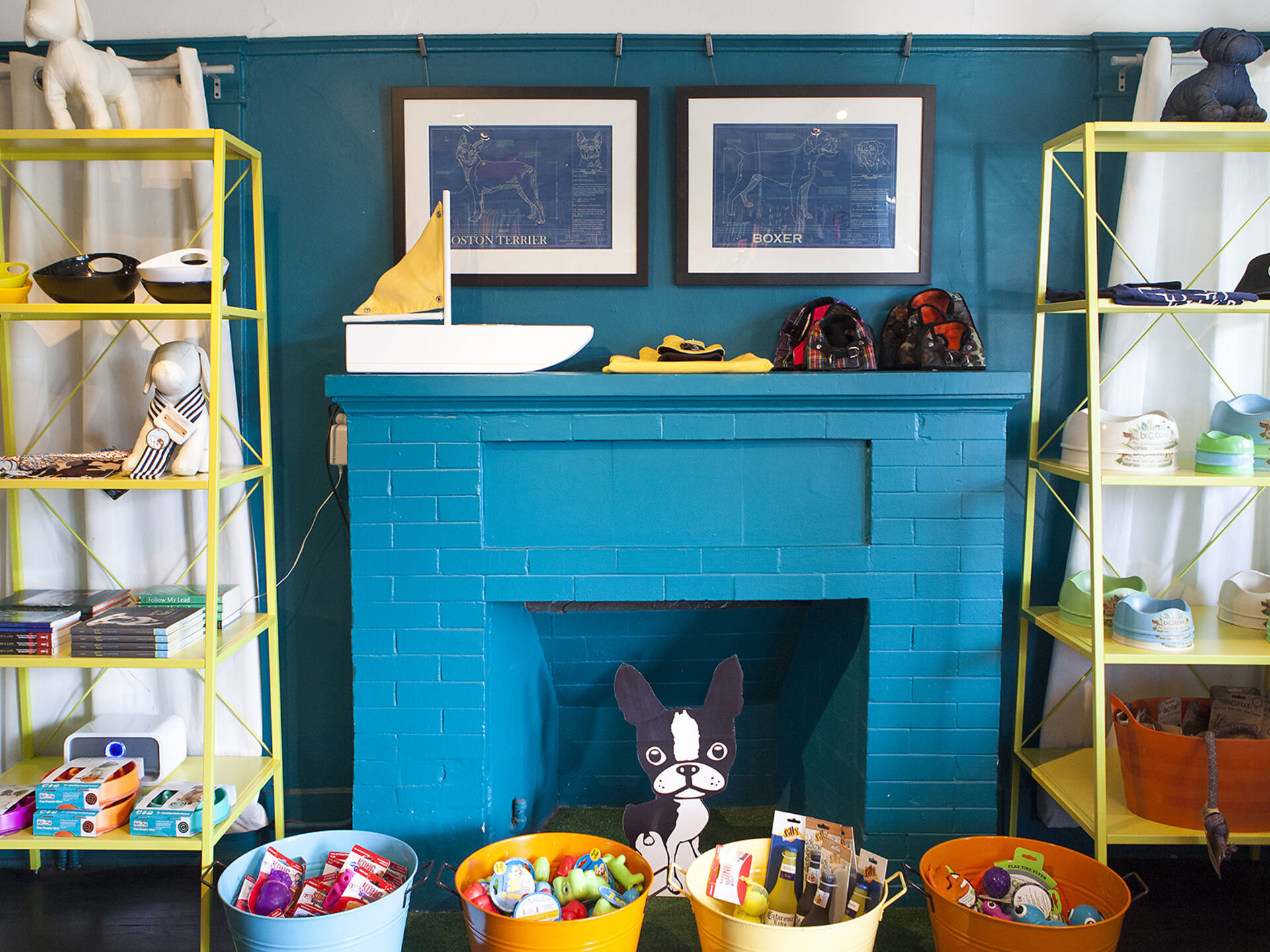 LA's best pet store options