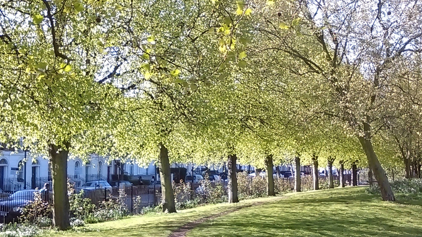 Barnard Park | Attractions in Barnsbury, London