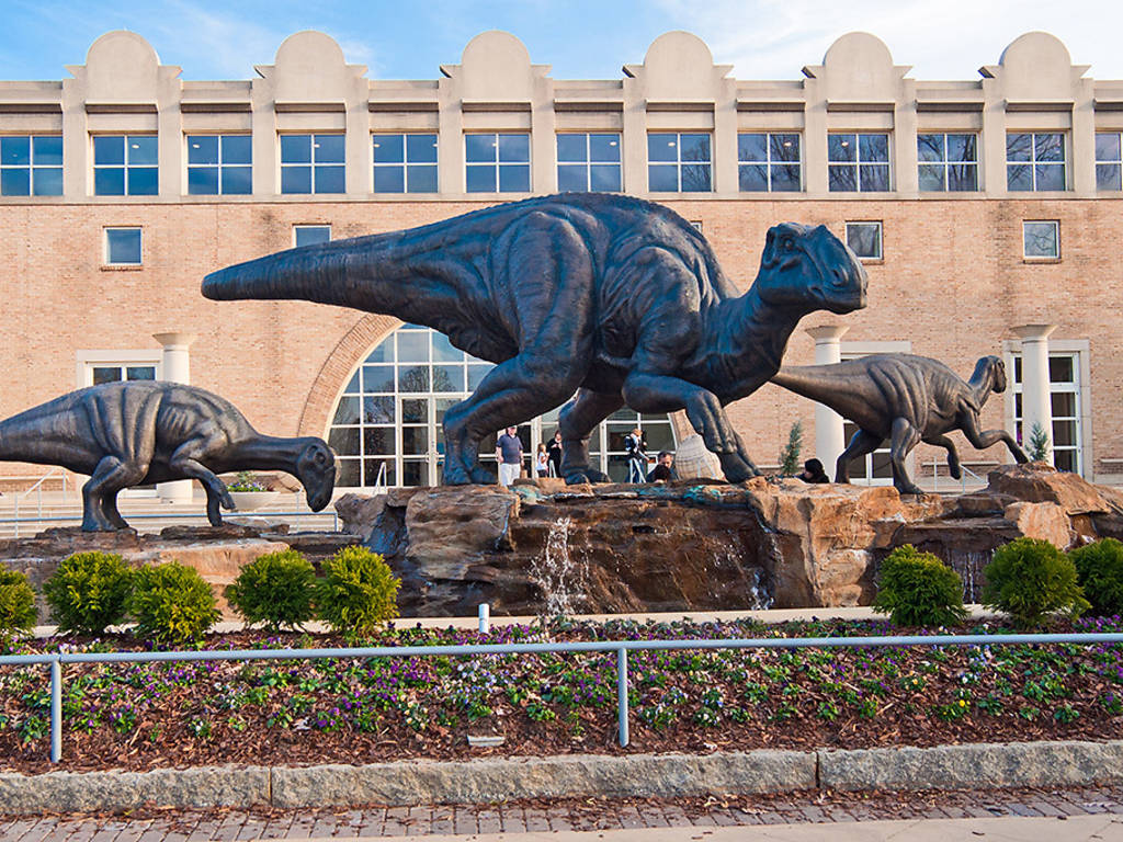 21 Best Attractions in Atlanta to Visit This Year