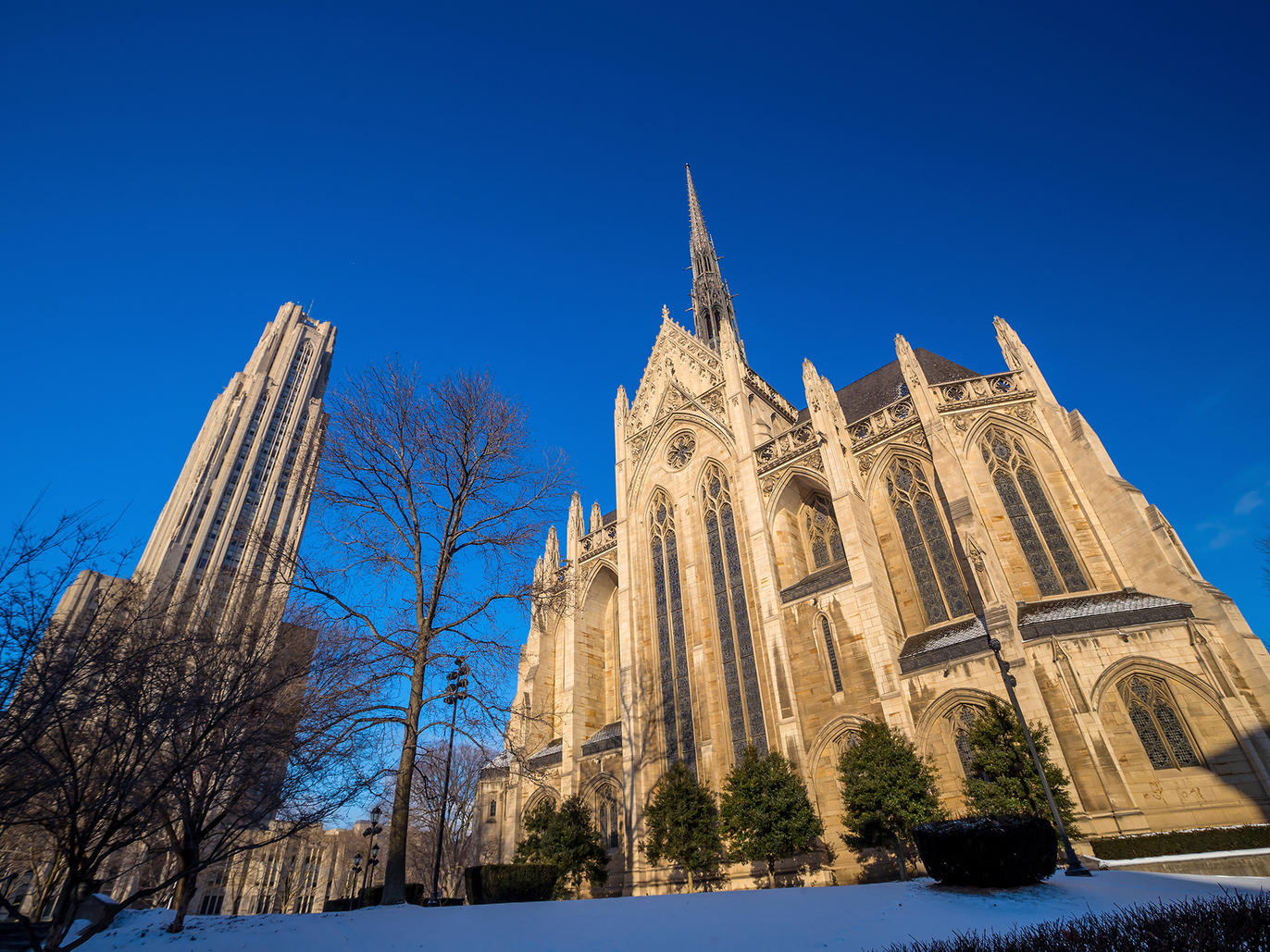 Things to Do in Pittsburgh | 20 Attractions From Gardens to Museums