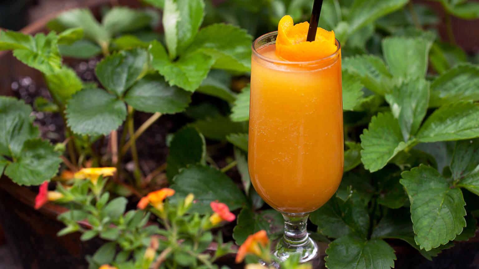 17 new frozen cocktails to try in Chicago this summer