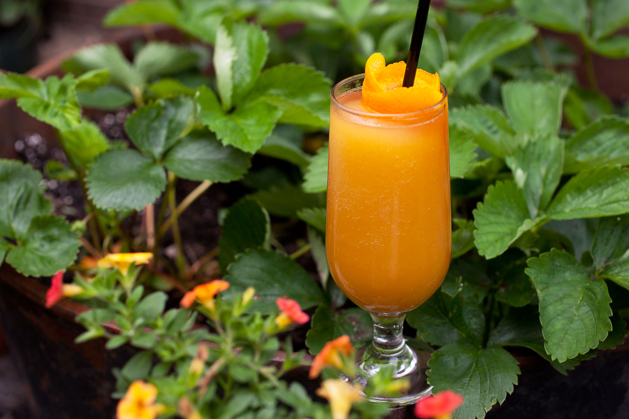 17 new frozen cocktails to try in Chicago this summer