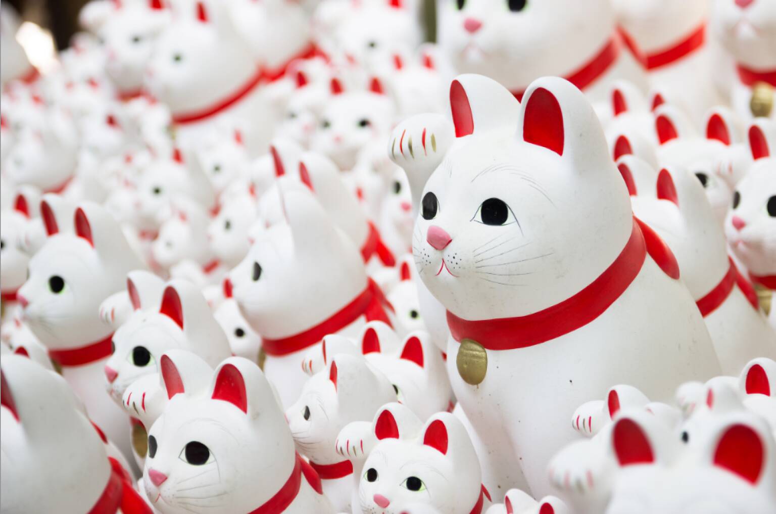 6 purr-fect spots in Tokyo for cat lovers