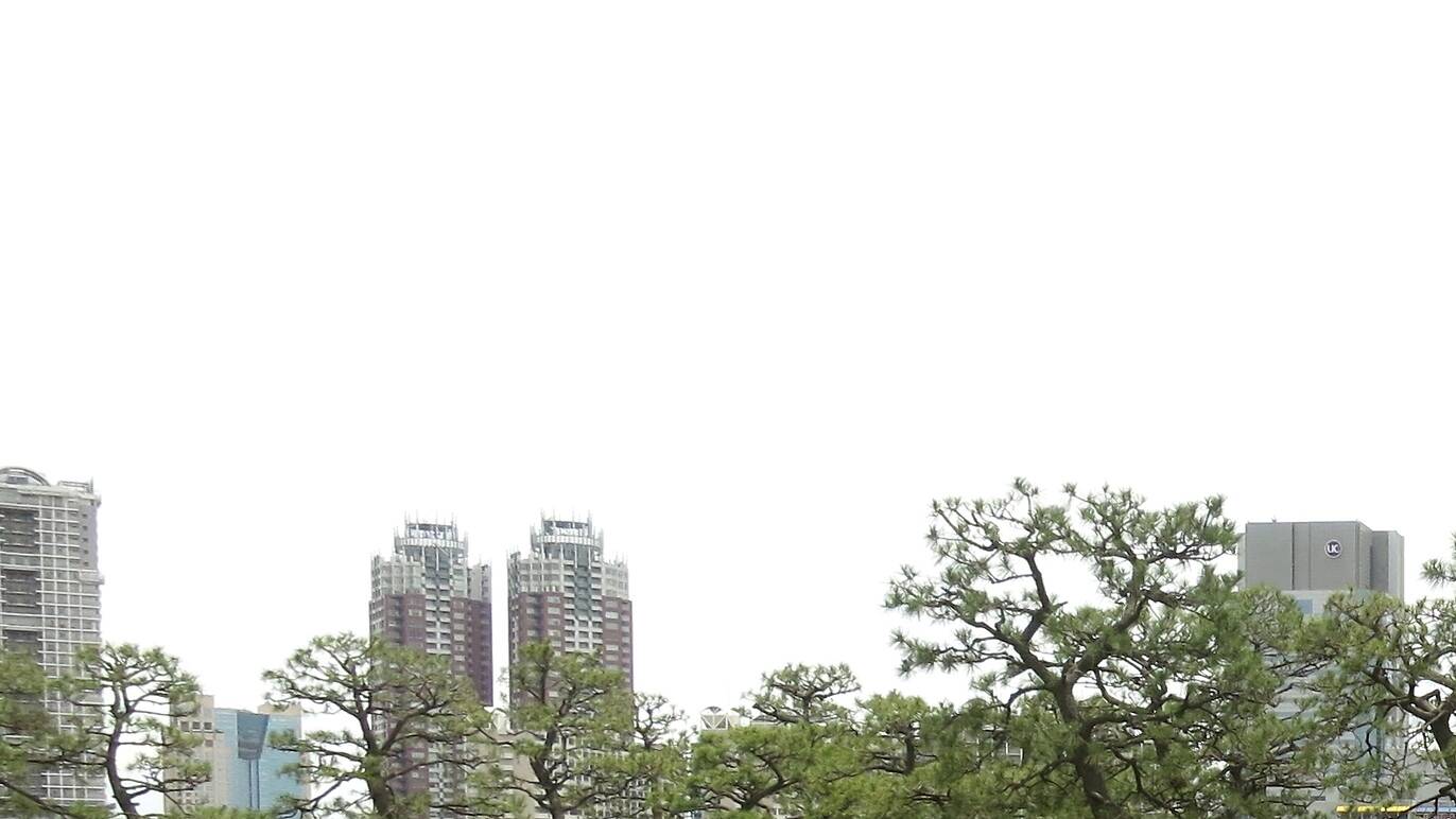 Tokyo’s secret attractions | Time Out Tokyo