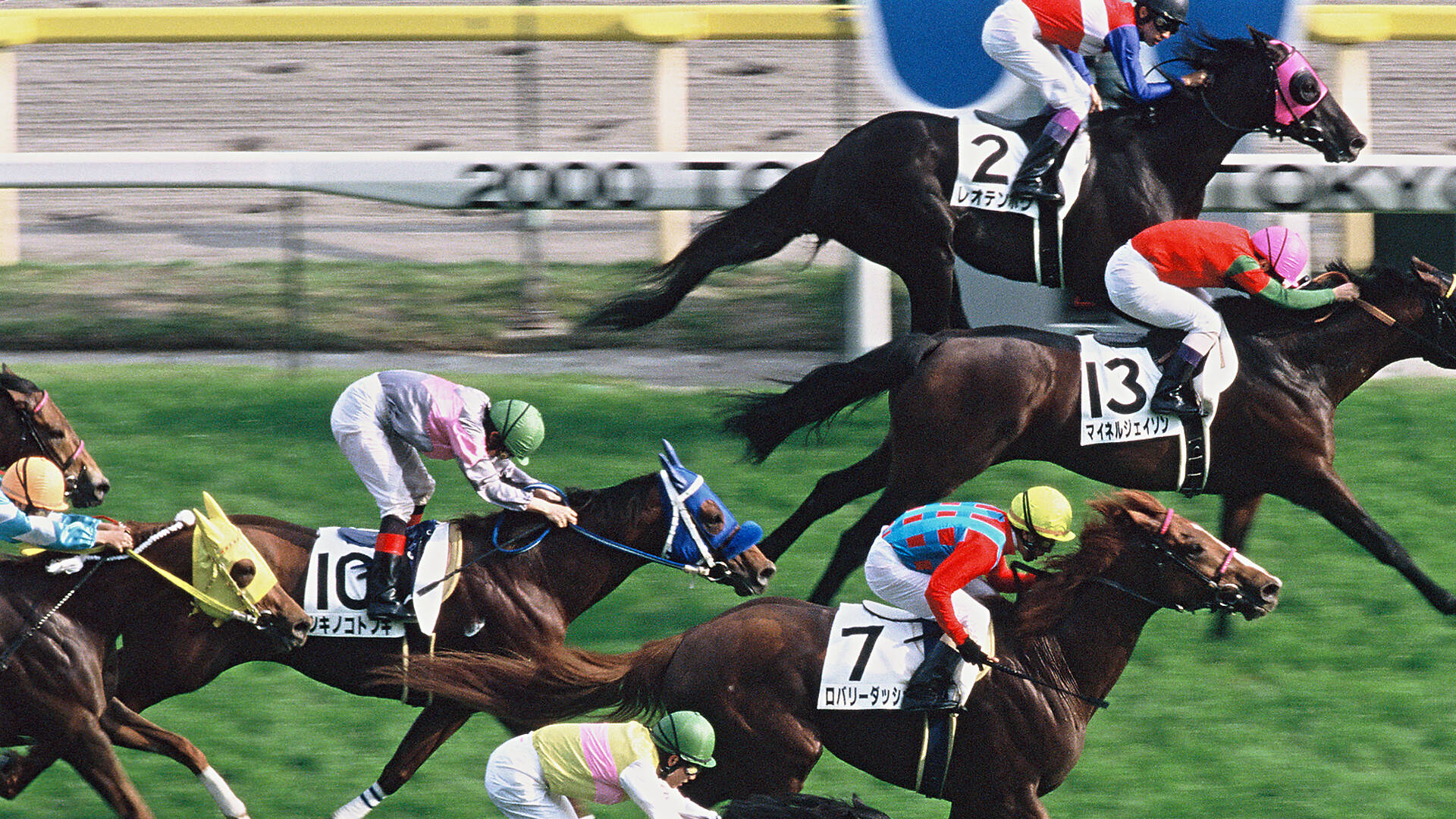 Horse racing in Japan: a gambler’s paradise | Time Out Tokyo