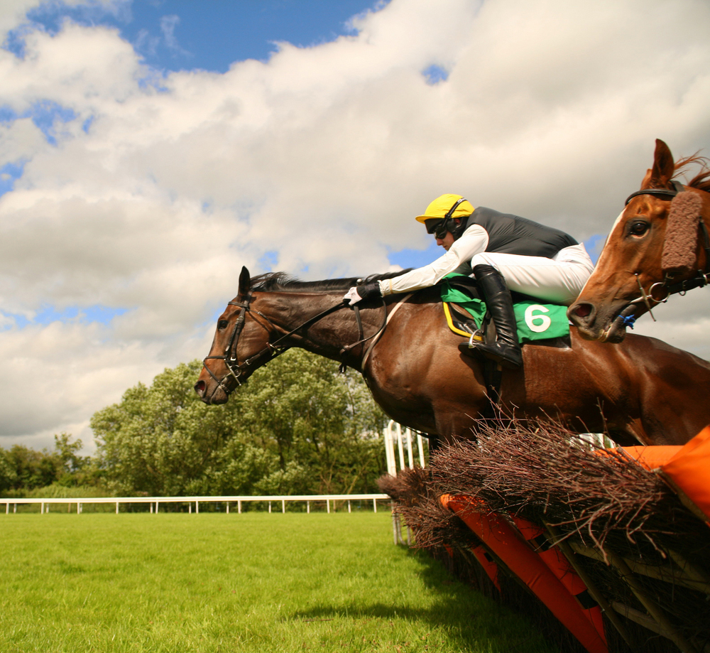 Horse racing in Japan: a gambler’s paradise | Time Out Tokyo
