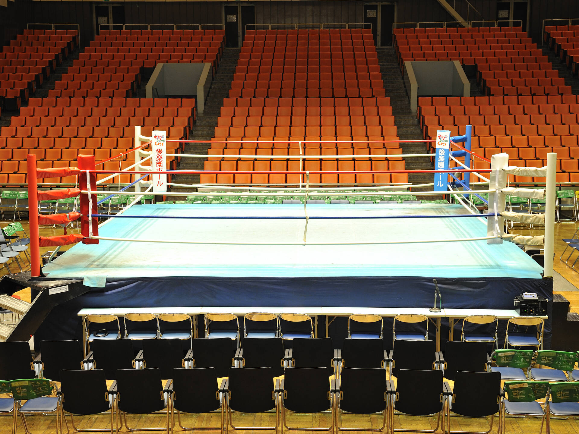 The world of Japanese pro wrestling | Time Out Tokyo