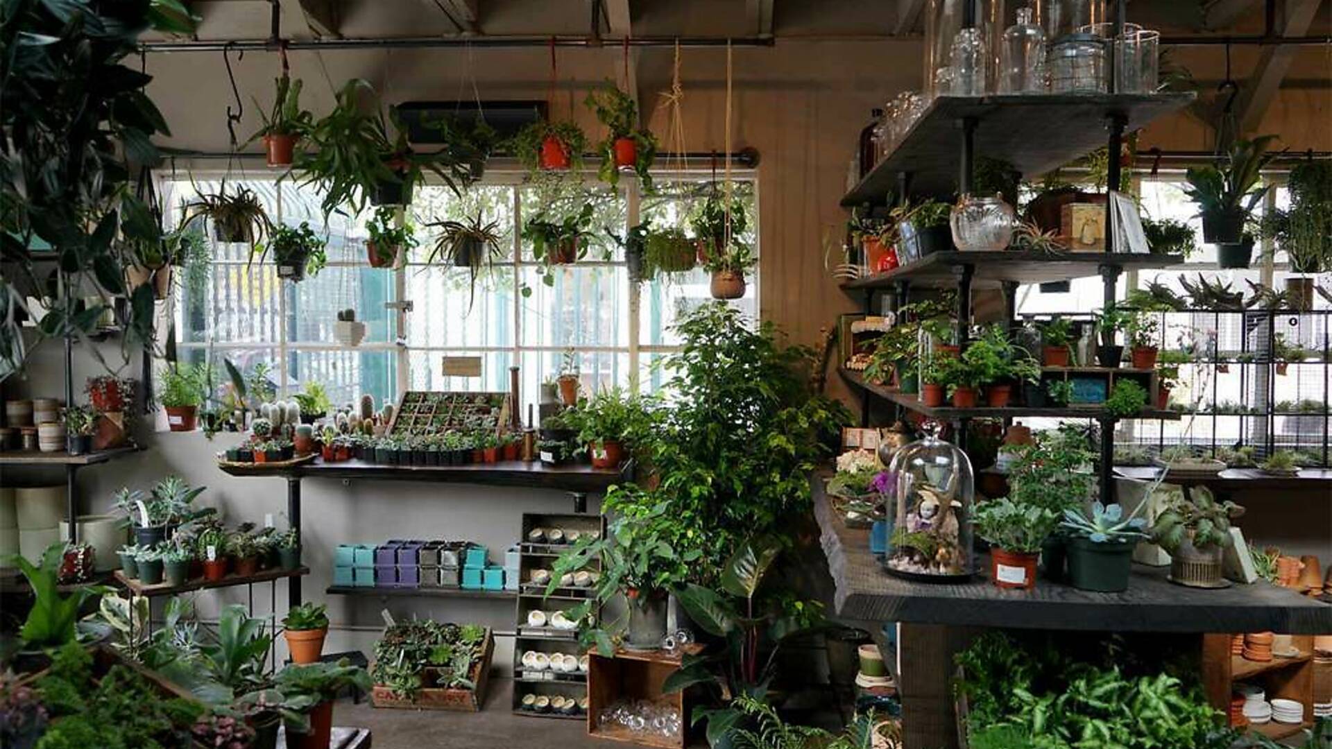 Temescal Alley | Shopping in Oakland, San Francisco