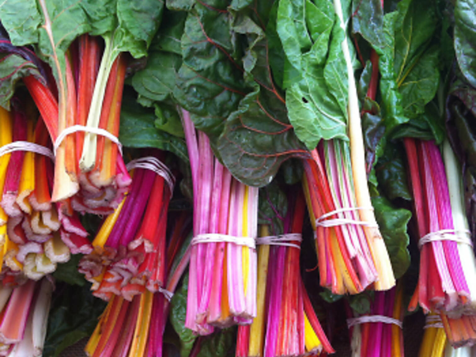 Best farmers’ market NYC picks for kids and families