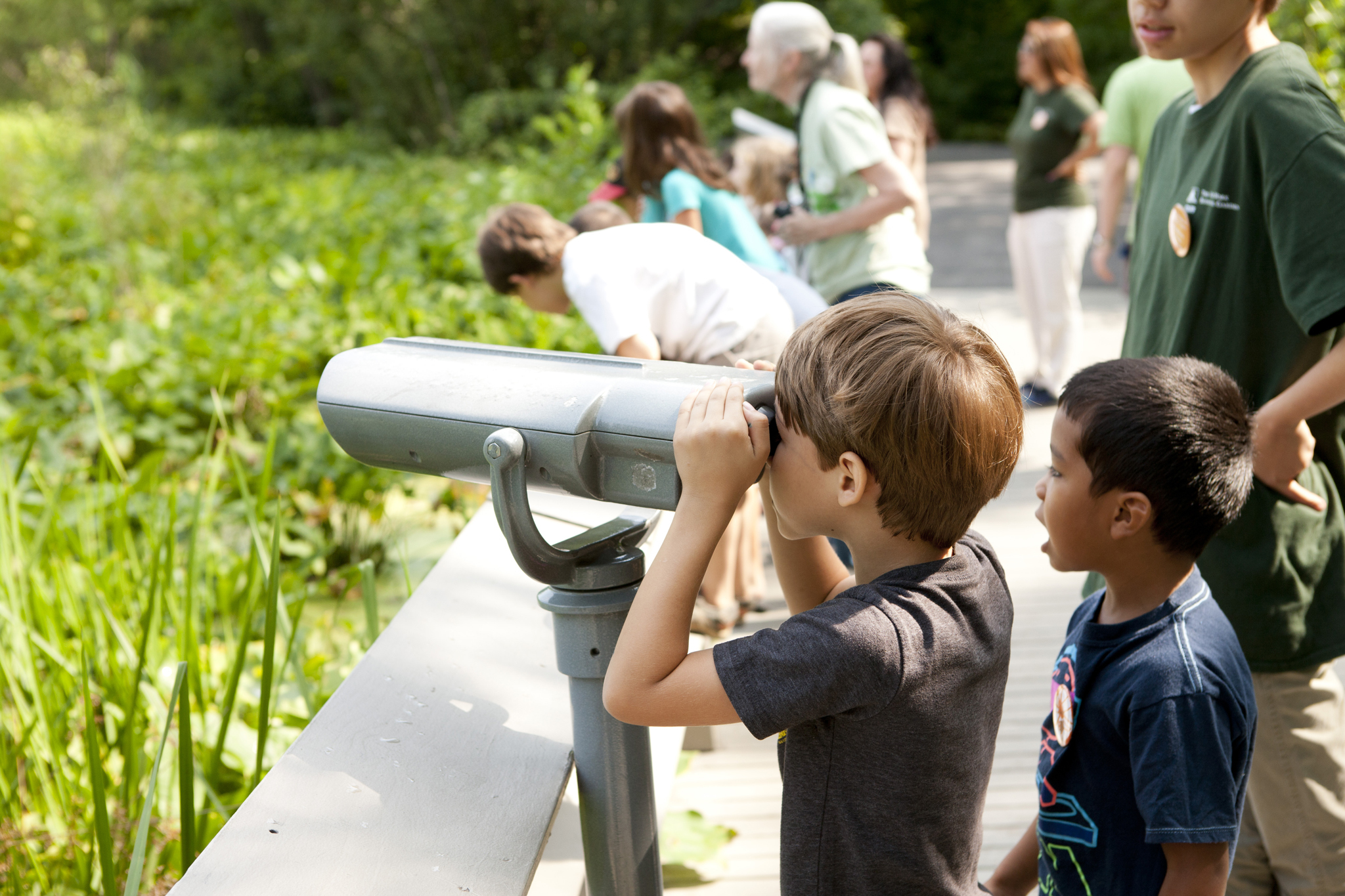 New York Botanical Garden Summer-Break Camps | Things to do in The ...