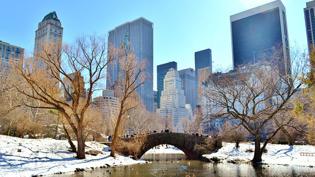 26 stunning photos of New York in the snow