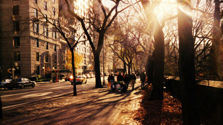 25 gorgeous photos of New York City in the fall