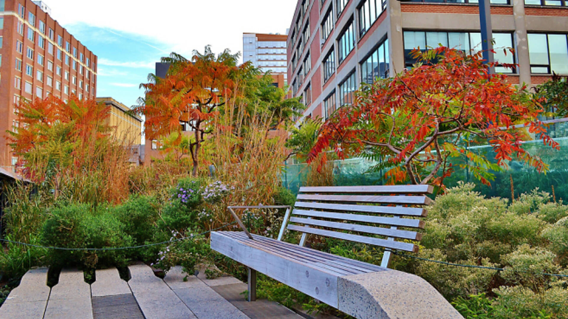 25 gorgeous photos of New York City in the fall