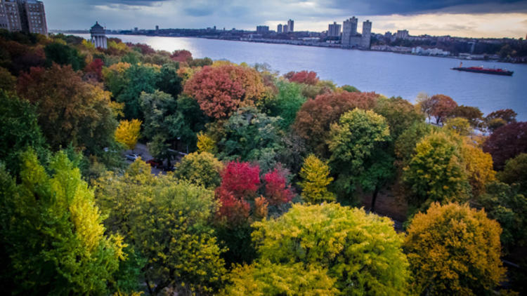 25 gorgeous photos of New York City in the fall