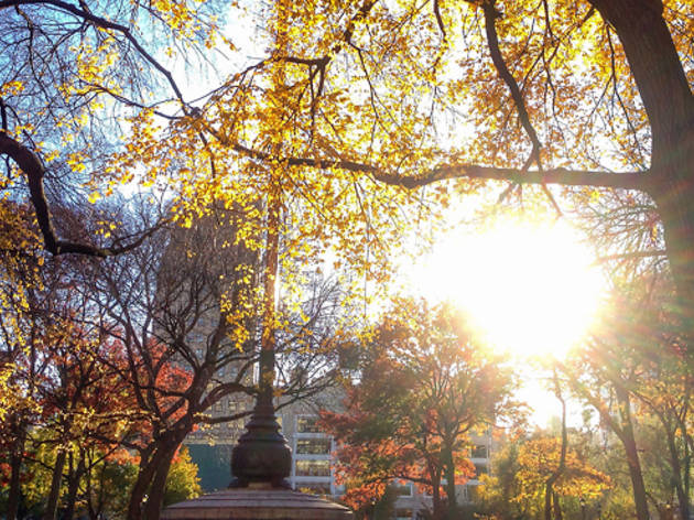 25 gorgeous photos of New York City in the fall