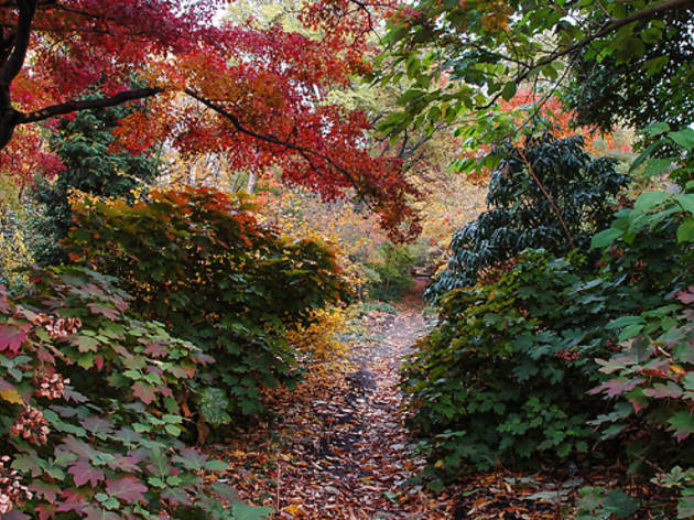 25 gorgeous photos of New York City in the fall
