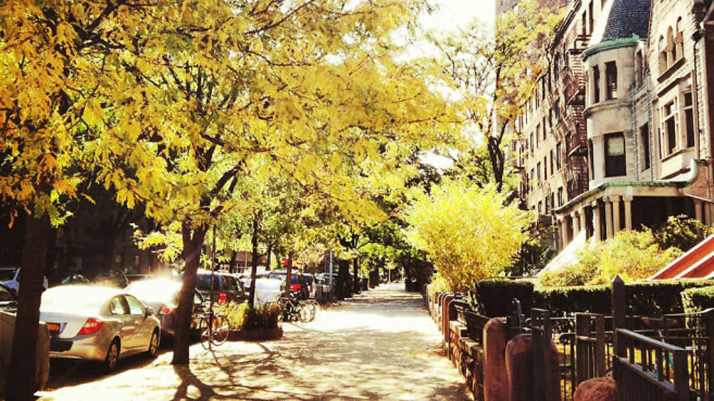 25 gorgeous photos of New York City in the fall