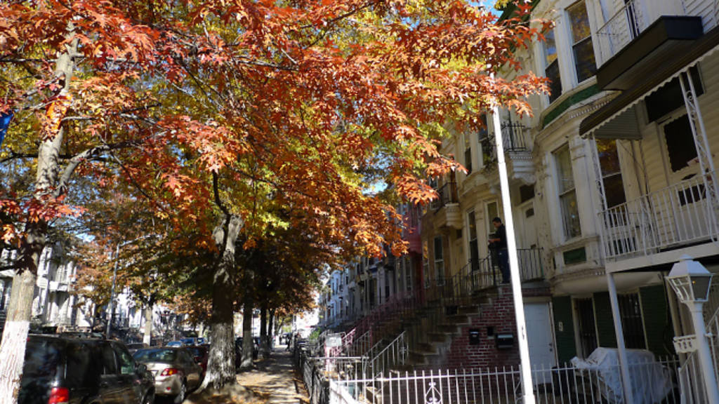 25 gorgeous photos of New York City in the fall