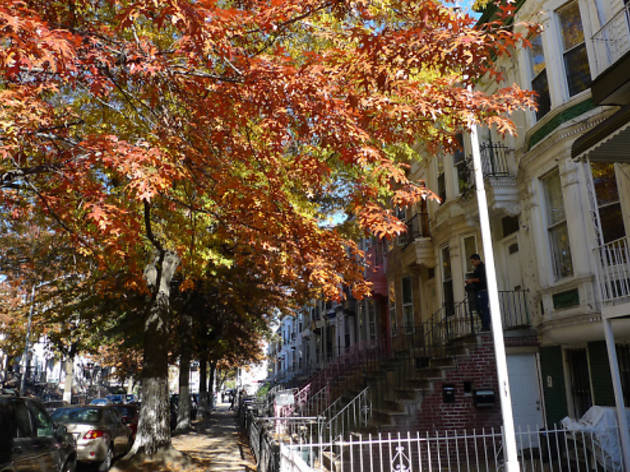 25 gorgeous photos of New York City in the fall