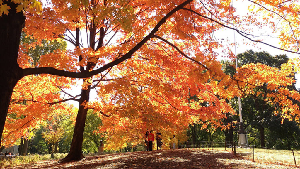 25 gorgeous photos of New York City in the fall